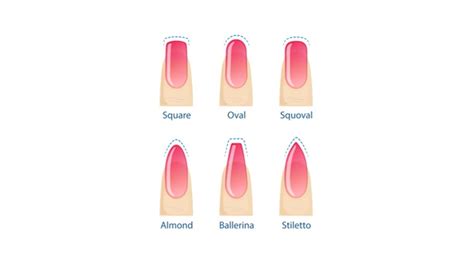 Every Single Nail Shape Explained Plus How To Create Each Woman And Home