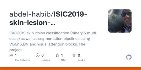 Github Abdel Habibisic2019 Skin Lesion Classification Segmentation Isic2019 Skin Lesion
