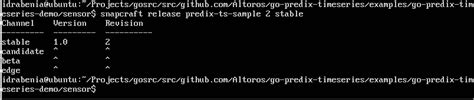 How To Use Snap Packages When Collecting Iot Data With Predix Time Series Altoros