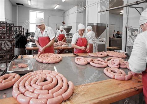 Мясоперерабатывающий завод в Подмосковье Работает более 20 лет в Москве купить готовый