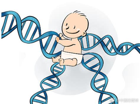 新华微评：基因编辑岂能“任性” 伦理 基因编辑 科学探索 新浪新闻