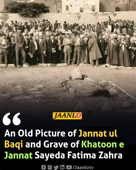 Shaan E Ali Posted On Linkedin