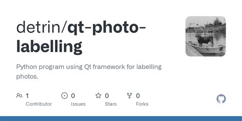 Github Detrin Qt Photo Labelling Python Program Using Qt Framework For Labelling Photos