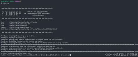 Web3：在 Vscode 中基于 Foundry 快速构建 Solidity 智能合约本地开发环境 技术栈