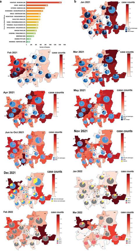 Transmission Dynamics Of Sars Cov2 Lineages In Pune Samples A The Bar Download Scientific