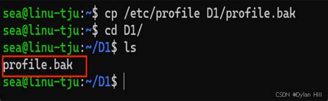 Linux虚拟机与shell基础练习题linux 基础命令练习题 Csdn博客 Linux虚拟机与shell基础练习题linux 基础命令练习题 Csdn博客