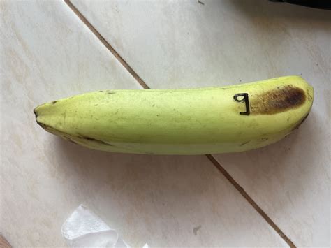 Simulasi Penelitian Object Detection Dataset By Selaa