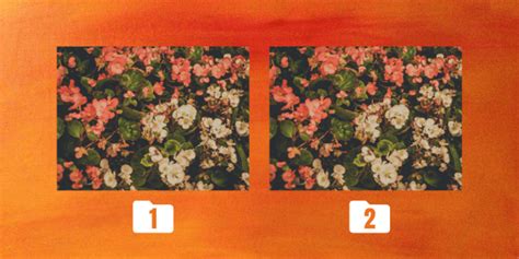Ways To Move Image From A File To Another In Photoshop