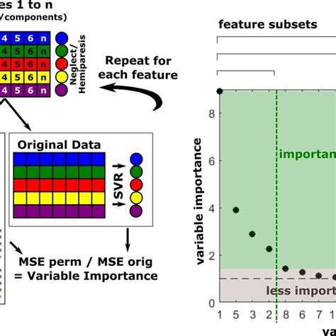 Schematic Of The Permutation‐based Feature Elimination The Left Panel
