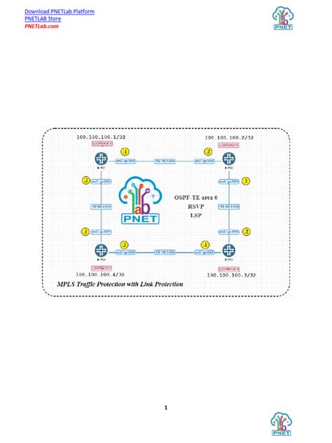 Mpls Traffic Protection With Link Protection Pdf Networking