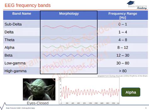 Eeg Erp Fft An Overview Of Spectral Analysis Methods