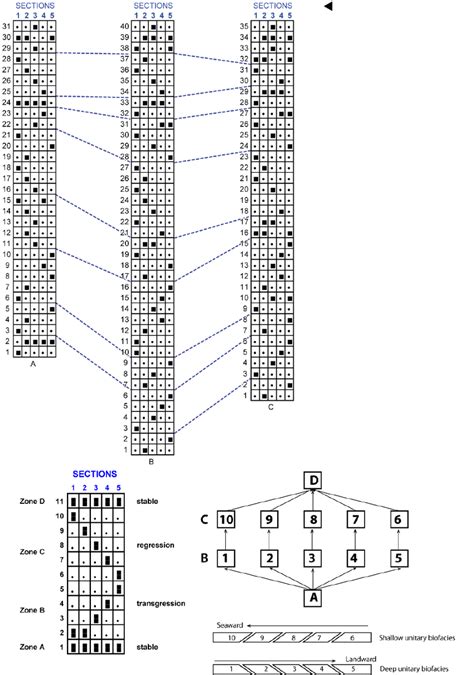 Reproducibility Of 12 Imaginary Uas In A Deep To Shallow Transect