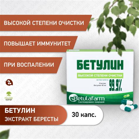 Добавка к пище Бетулин Высокой Степени Очистки (экстракт бересты 99,9 % ...
