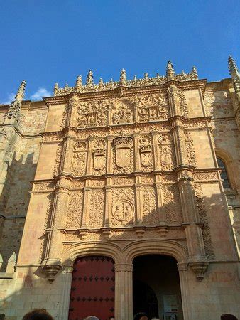 La Rana De Salamanca O Que Saber Antes De Ir Sobre O Que As Pessoas