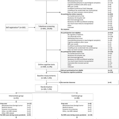 Flowchart Of Inclusion And Randomization Procedures Of The Physical