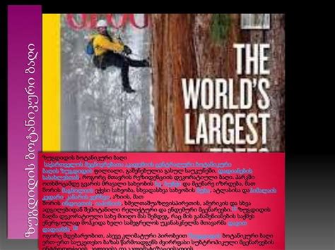 რეკლამა საქართველოს შესახებ Ppt