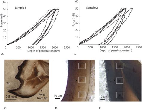 A B Force Depth Curves Of Microindentation From Sample 1 And Sample Download Scientific