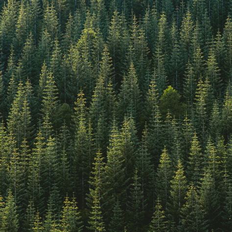 How To Reduce My Carbon Footprint And Live More Sustainably The Conscious Insider