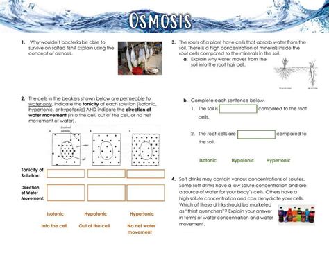 Transport Across The Cell Membrane Worksheet Live Worksheets Worksheets Library