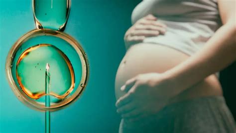 How To Know If The Artificial Insemination Was Successful