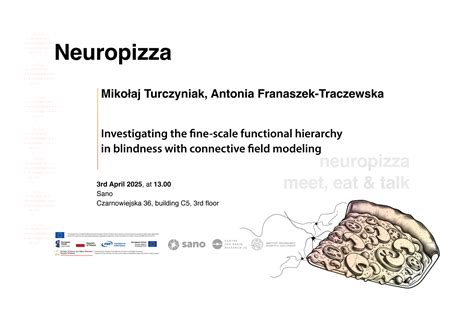 Neuropizza Investigating The Fine Scale Functional Hierarchy In