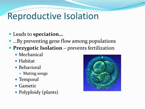 PPT Isolation And Speciation PowerPoint Presentation Free Download ID 2383180