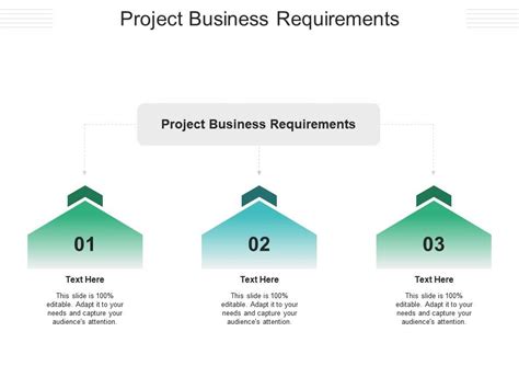 Project Business Requirements Ppt Powerpoint Presentation Model Slideshow Cpb Presentation