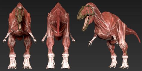 Artstation Acrocanthosaurus Anatomy Vitamin Imagination