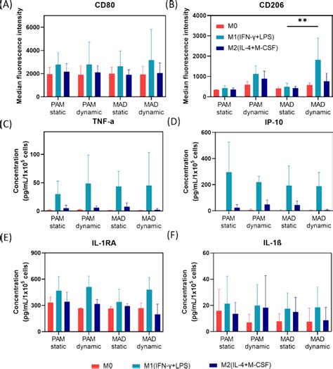 Magnetically Driven Hydrogel Surfaces For Modulating Macrophage Behavior Acs Biomaterials