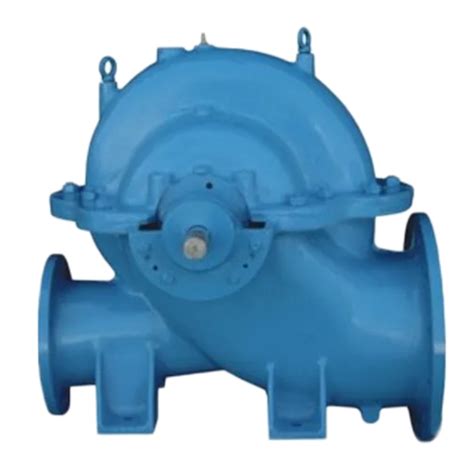 Blue Horizontal Split Case Pump At Best Price In Pune Gbd Enterprises