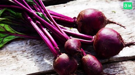 ჭარხლის თესვა Youtube