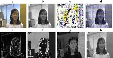 Features For Multicue Tracker From Sample Image For Hts Dataset Hts