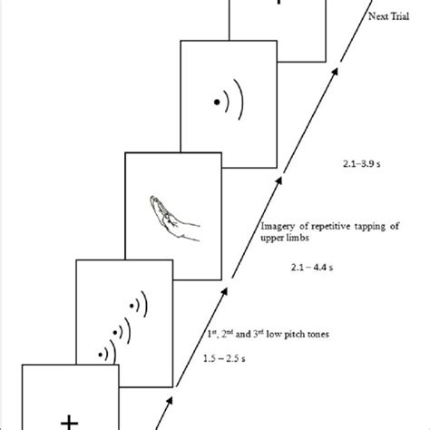 Contrasts Of Bold Responses Between Upper And Lower Limb Motor Imagery Download Scientific