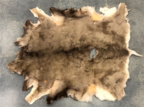 Lot Native American Pictograph Hand Painted Deer Hide