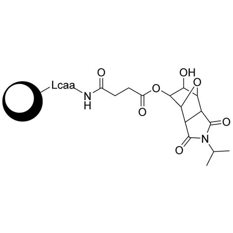 Universal Support Dmt Off N Ipr 1000 Å Standard Loading 1 G Lgc
