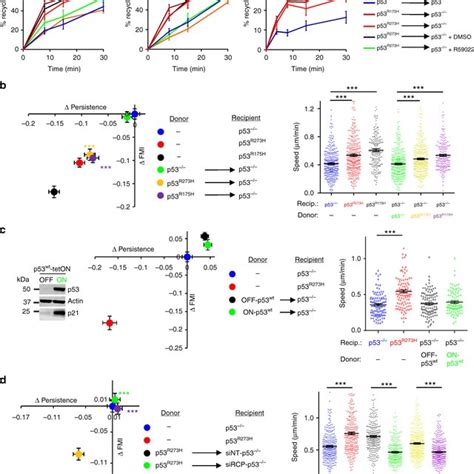 Exosomes From Mutant P53 Expressing Cells Influence Dgkα Dependent