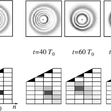 Four Snapshots Of The Time Evolution Of The Quantum State During Download Scientific Diagram