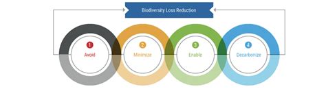 Dws Launches Biodiversity Focused Xtrackers Etfs Integrating Comprehensive Iss Stoxx Impact