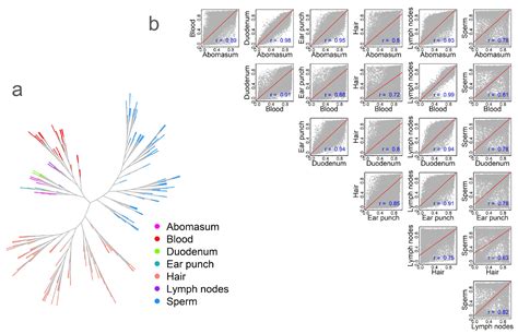 Exploring Tissue And Sex Specific Dna Methylation In Cattle Using A