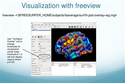 Surface Based Group Analysis In Freesurfer Ppt Download