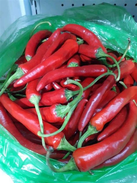 Бүтээгдэхүүн Seafood Mongolia