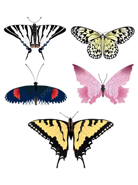 Butterfly Collection Vector Design Images Collection Of Vector Images