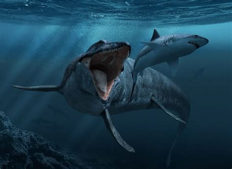 51 Best Mosasaurus Cretaceous Images On Pinterest Dinosaurs