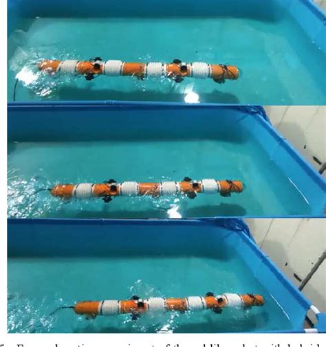 Figure 5 From Modeling And Simulation Of An Eel Like Robot With Hybrid Control System Semantic