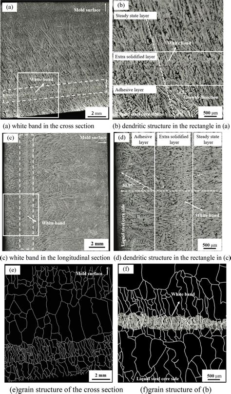 Solidification Structure Of The Wide Center Sample At 500 Mm Below The