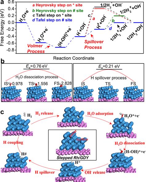 Adsorption Energetic Trend And Pathways On Rh Gdy A Energy Diagram Of Download Scientific