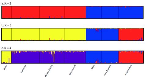 Graphical Representations Of Bayesian Cluster Analyses For Yellowtail Download Scientific