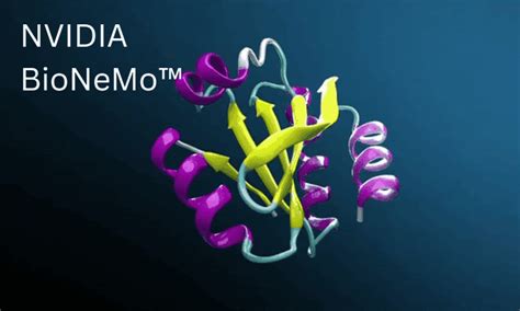Nvidia Unveils Bionemo A Genai Platform Designed For Drug Discovery