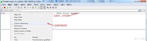 Python Wireshark 实时抓取数据包 Wireshark抓取127001mob64ca14082604的技术博客51cto博客