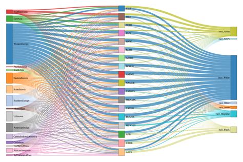 Mapping The Intersection Between Self Identification And Genetics The